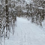 Whitmore Lake Nature Preserve Loop, Michigan - 215 Reviews, Map | AllTrails