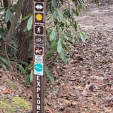 Explorer Loop, North Carolina - 444 Reviews, Map | AllTrails