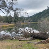 Lake Lagunitas, California - 622 Reviews, Map | AllTrails