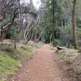 Lake Lagunitas, California - 622 Reviews, Map | AllTrails