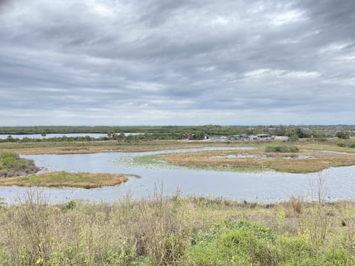 2023 Best trails in Cockroach Bay Nature Preserve | AllTrails