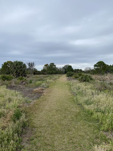 2023 Best trails in Cockroach Bay Nature Preserve | AllTrails
