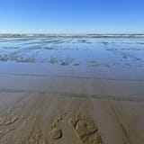 Long Beach Boardwalk and Discovery Trail Loop, Washington - 118 Reviews ...