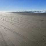 Long Beach Boardwalk and Discovery Trail Loop, Washington - 118 Reviews ...