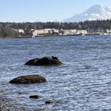 Marine View Park Loop Trail, Washington - 446 Reviews, Map | AllTrails