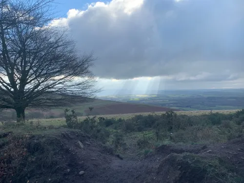 10 Best Walking Trails in Quantock Hills National Landscape (AONB ...