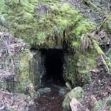 Mine Road Trail, Washington - 376 Reviews, Map | AllTrails