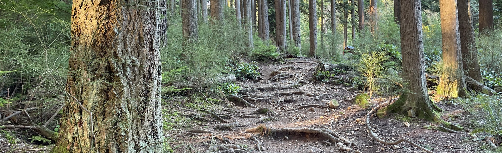 Princess Park Loop | Map, Guide - British Columbia, Canada | AllTrails