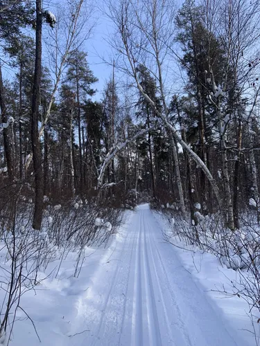Best Hikes and Trails in Sandilands Provincial Forest | AllTrails