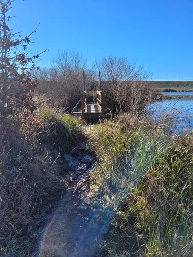 Best Lake Trails in Alvadore | AllTrails