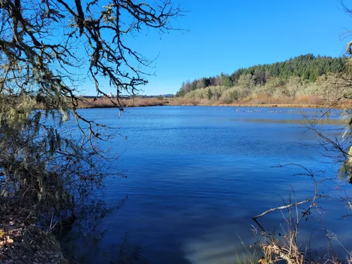 2023 Best Lake Trails in Alvadore | AllTrails