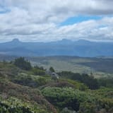 Mount Ossa Summit Track, Tasmania, Australia - 28 Reviews, Map | AllTrails