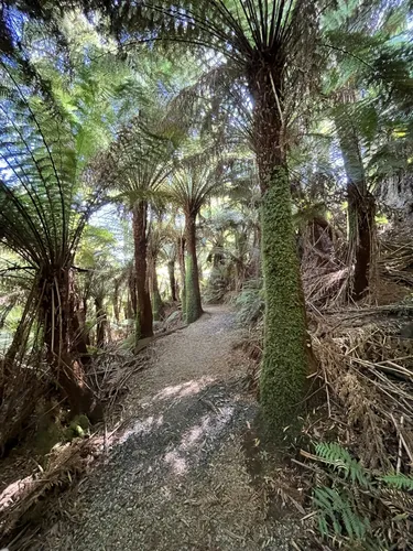 Best Hikes and Trails in Mount Worth State Park | AllTrails