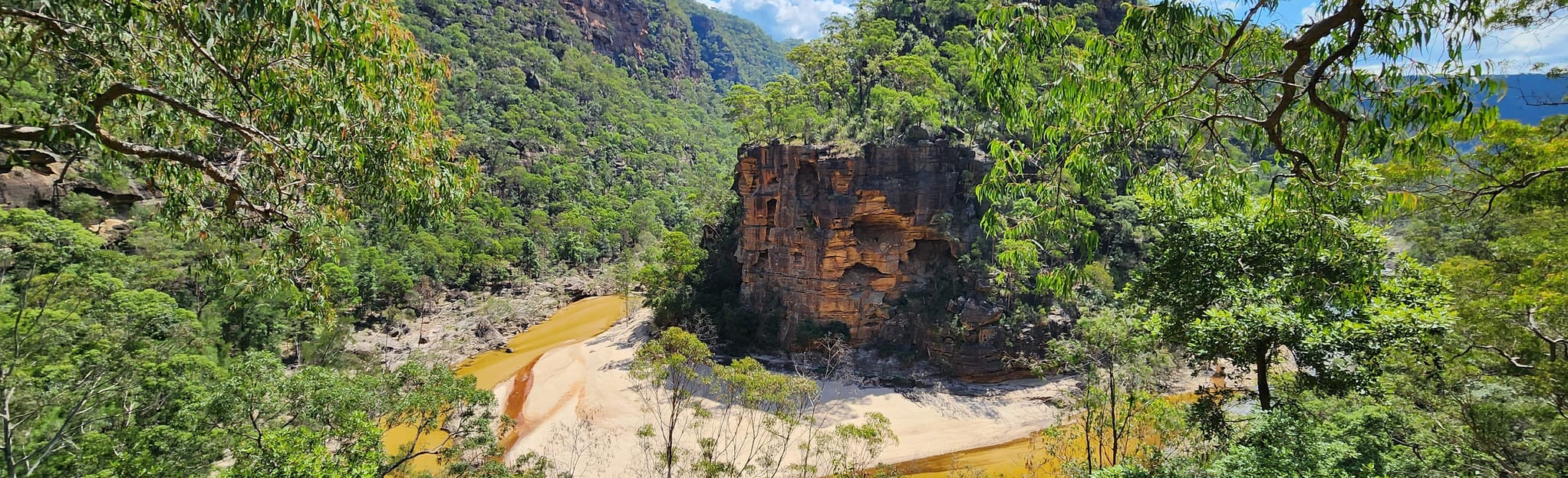 Canoe Creek Track, New South Wales, Australia - 60 Reviews, Map | AllTrails