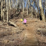Buffalo Mountain Trail, Virginia - 622 Reviews, Map | AllTrails