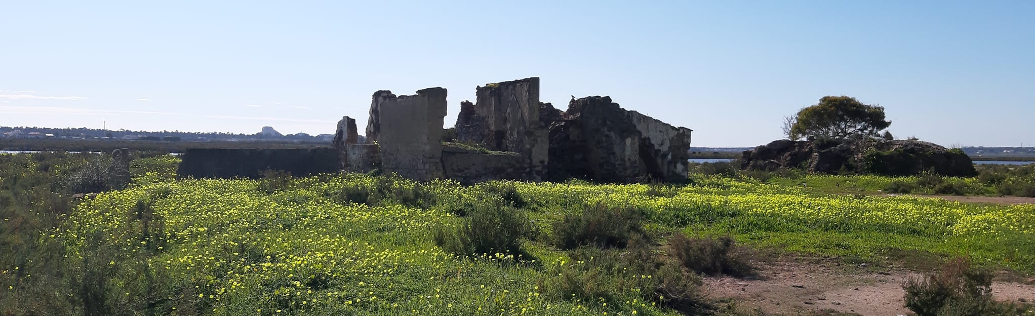 AllTrails | Castro Marim - Castelo de Castro Marim - Esteiro da Lezíria ...