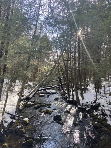 2023 Best Views Trails in Conway | AllTrails