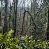 Cooks Butte Loop, Oregon - 399 Reviews, Map | AllTrails