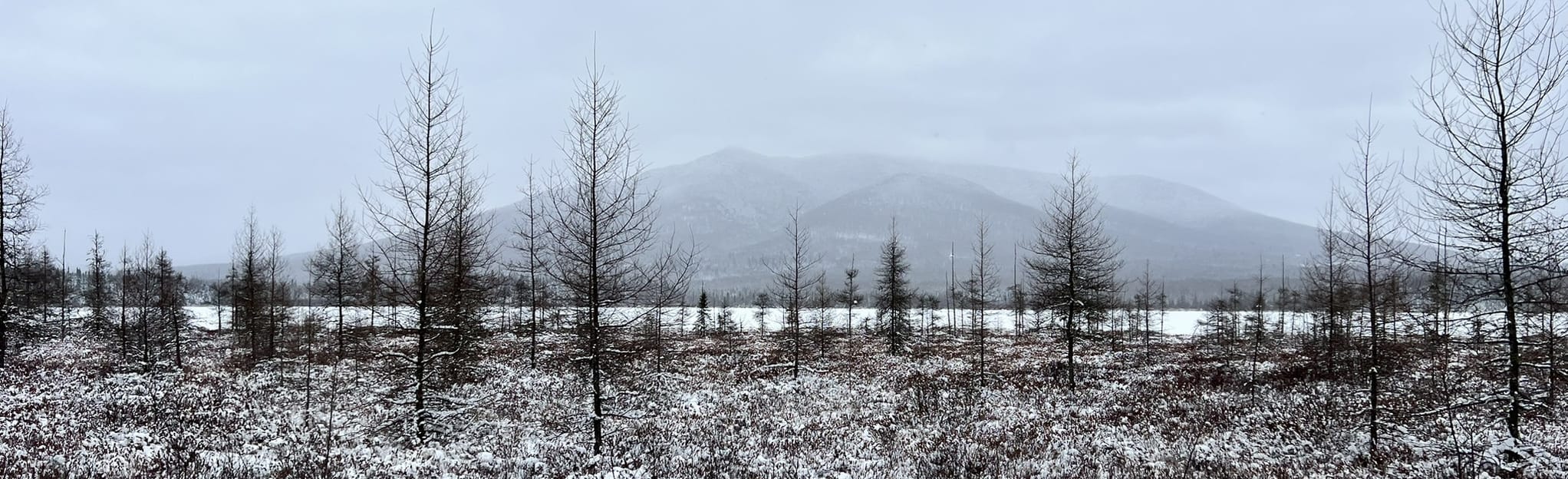 Colonel Whipple Trail: 29 Reviews, Map - New Hampshire | AllTrails