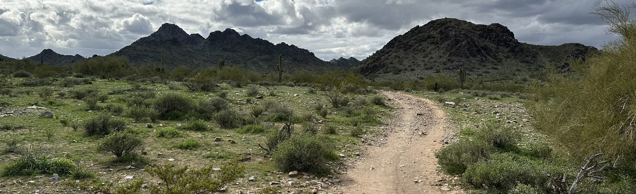 Trail 100 (Complete), Arizona - 135 Reviews, Map | AllTrails