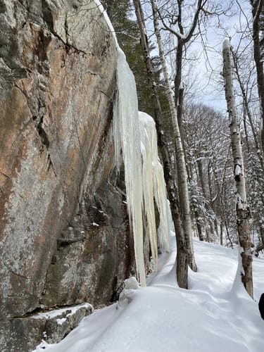 Best Hikes and Trails in Frost Centre Trails | AllTrails