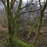 The Hurtwood and Winterfold Hill, Surrey, England - 63 Reviews, Map ...