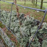 The Hurtwood and Winterfold Hill, Surrey, England - 62 Reviews, Map ...