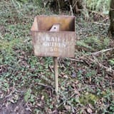 Ridge Loop Trail , Washington - 357 Reviews, Map | AllTrails