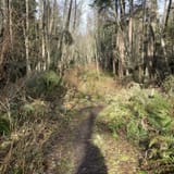 Ridge Loop Trail , Washington - 357 Reviews, Map | AllTrails