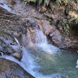 Hidden Falls Nature Park Trail, Oregon - 467 Reviews, Map | AllTrails