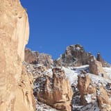 Timber Gulch, Oregon - 61 Reviews, Map | AllTrails