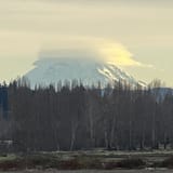 Tolt Pipeline Trail, Washington - 353 Reviews, Map | AllTrails