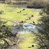 Tolt Pipeline Trail, Washington - 353 Reviews, Map | AllTrails