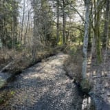 Tolt Pipeline Trail, Washington - 353 Reviews, Map | AllTrails
