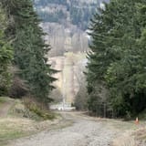 Tolt Pipeline Trail, Washington - 353 Reviews, Map | AllTrails