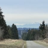 Tolt Pipeline Trail, Washington - 353 Reviews, Map | AllTrails