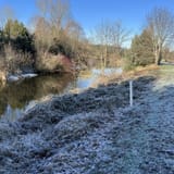 Tolt Pipeline Trail, Washington - 320 Reviews, Map | AllTrails