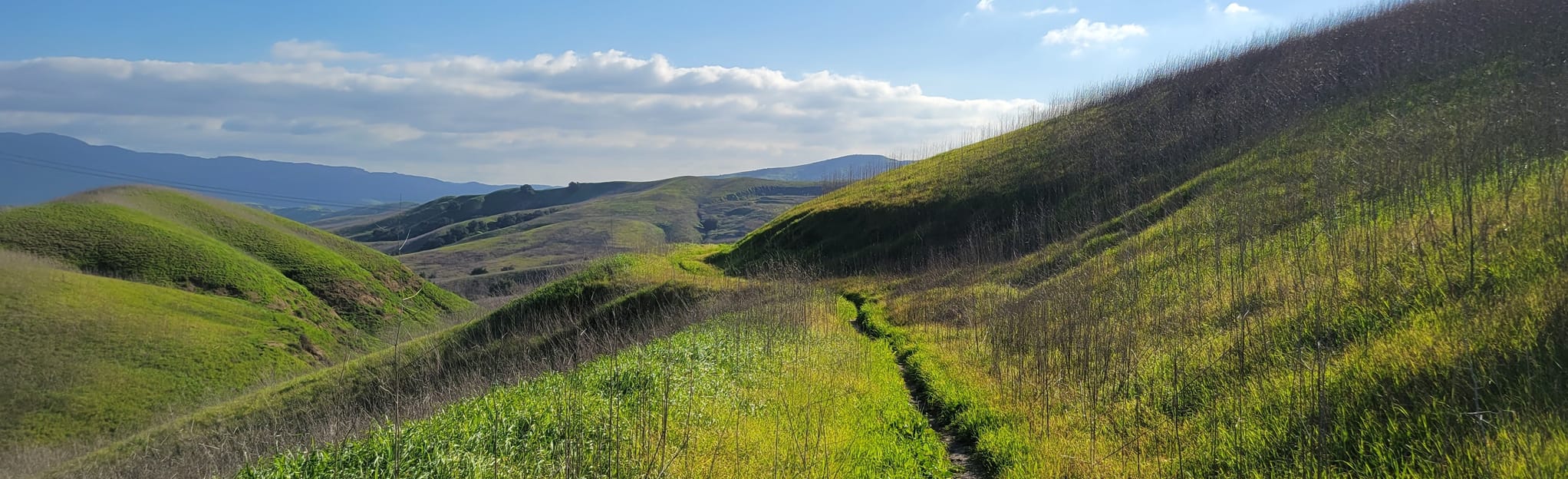 Upper Aliso Canyon-Sidewinder Trail Loop, California - 263 Reviews, Map ...