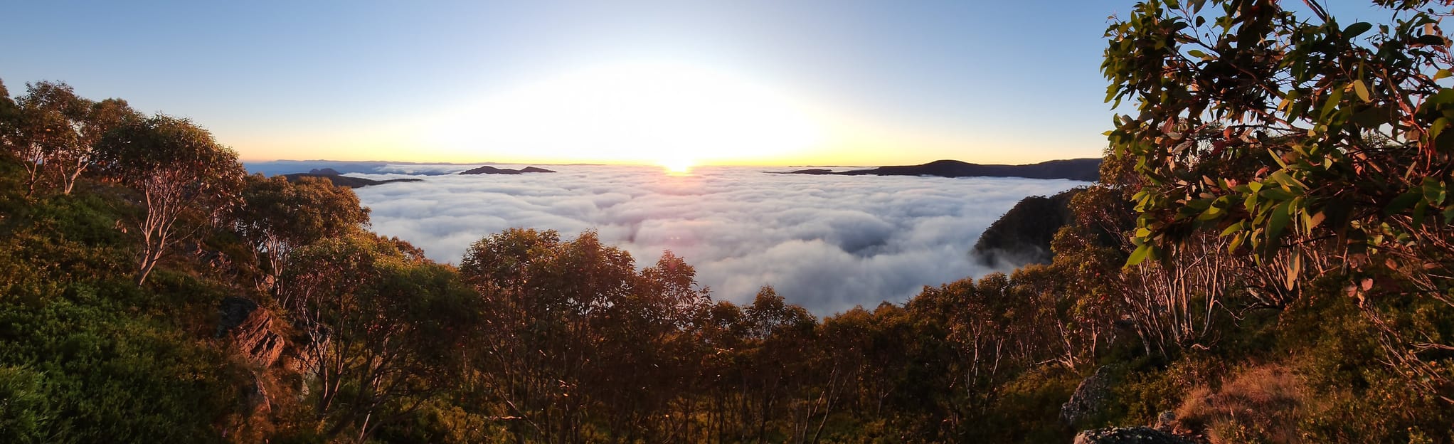 AAWT: Mount McDonald - Barry Saddle: 0 Reviews, Map - Victoria ...