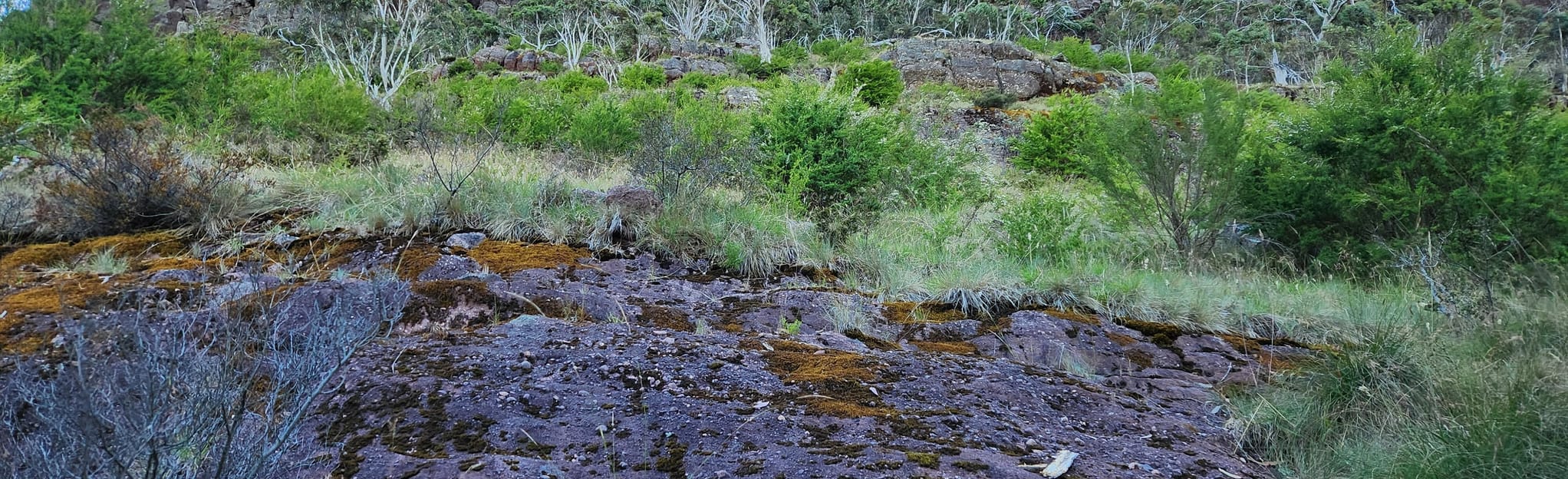Mount Despair and The Viking, Victoria, Australia - Map, Guide | AllTrails