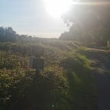 Dial Post - Shipley Circular, West Sussex, England - 187 Reviews, Map ...