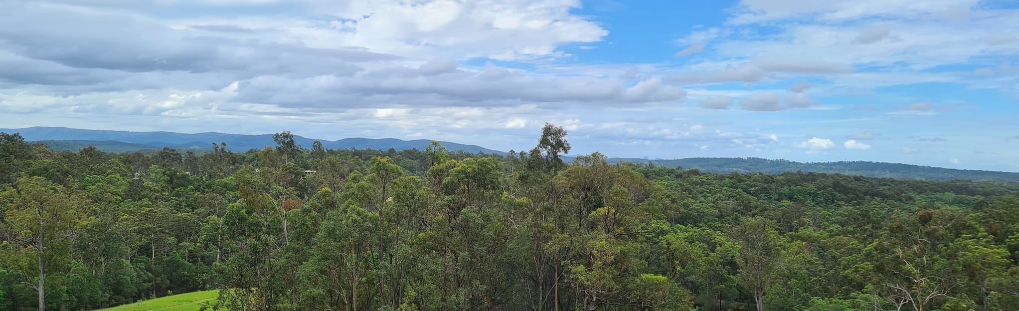 Mango Trees Road and Old School Road Loop, Queensland, Australia - 41 ...
