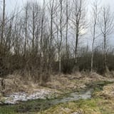 Tolt Pipeline Trail, Washington - 353 Reviews, Map | AllTrails