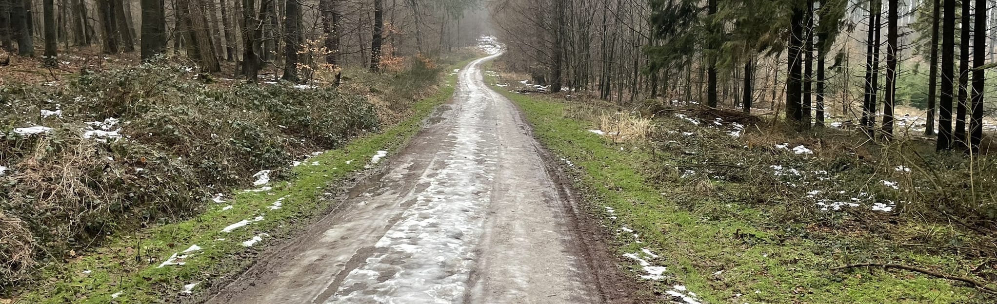 Deister-Kammweg between Egestorf and Bantorf, Lower Saxony, Germany - 3 ...