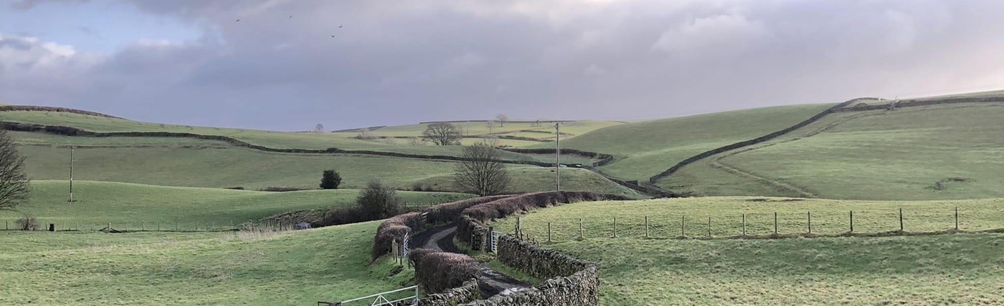 Oxenholme Circular, Cumbria, England - 6 Reviews, Map | AllTrails