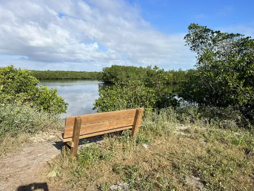 Best Hikes and Trails in Wildcat Cove Preserve | AllTrails