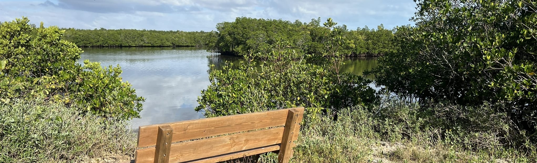Wildcat Cove Preserve Loop, Florida - 62 Reviews, Map | AllTrails