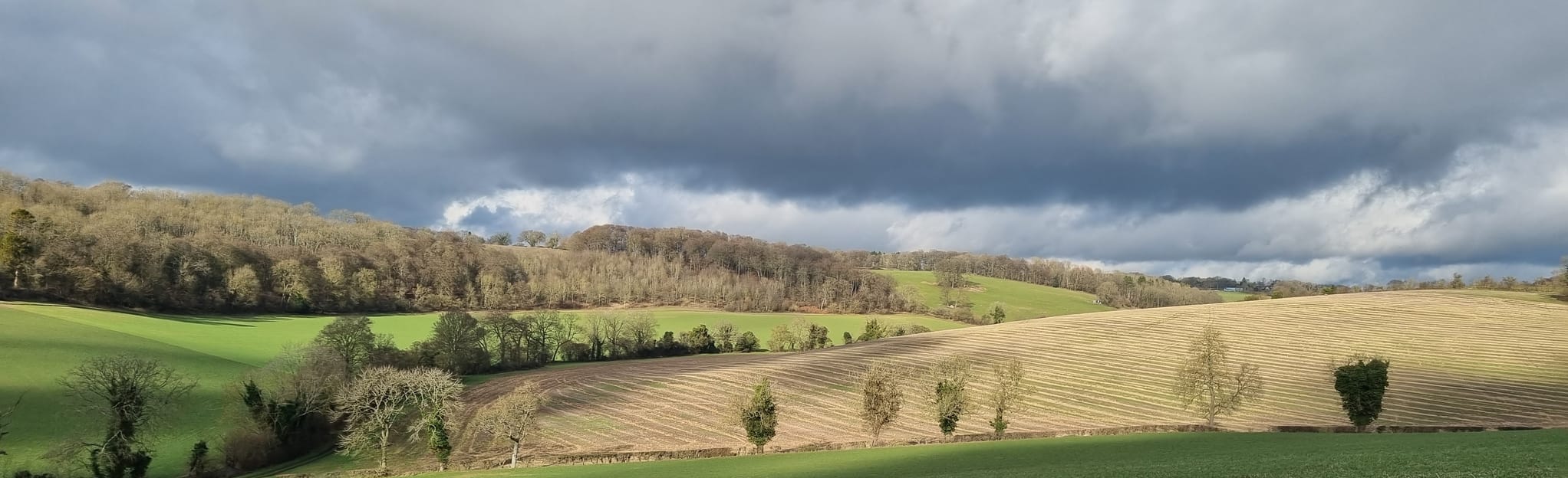 Aston Rowant Nature Reserve - Pishill Circular: 7 Reviews, Map ...