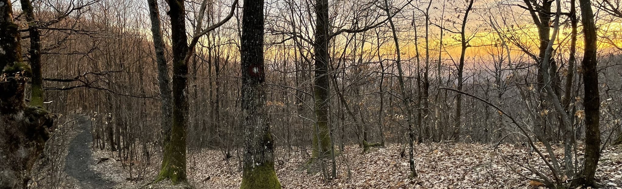AllTrails | Mikulići - Lugarnica - Grafičar - Stara Lugarnica: 27 ...