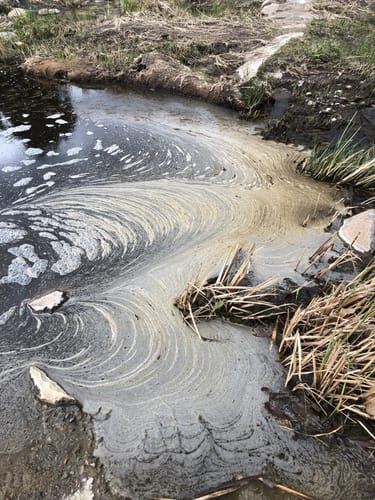 Best Hikes and Trails in Poway Community Park | AllTrails